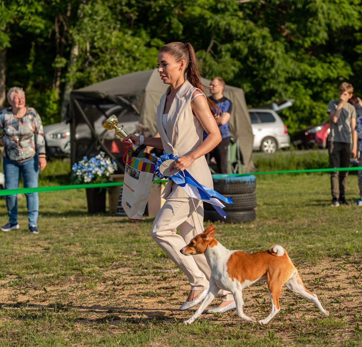 ВР 1648 — Postimages