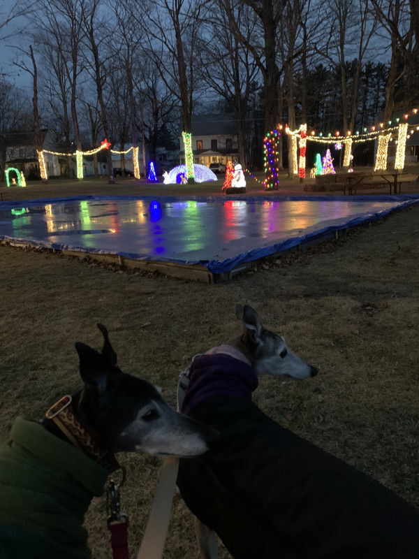 D18290 A2 8 CCA 459 B 9 A74 5 D08 D91583 F1 — Postimages