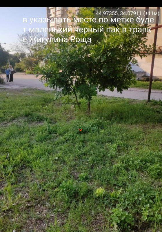 IMG 20230604 193144 20230605135516 — Postimages