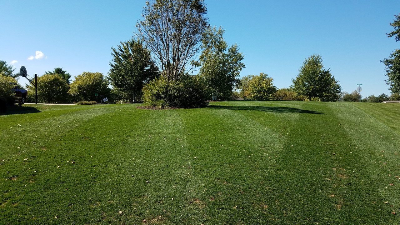 20180923 110339 — Postimages