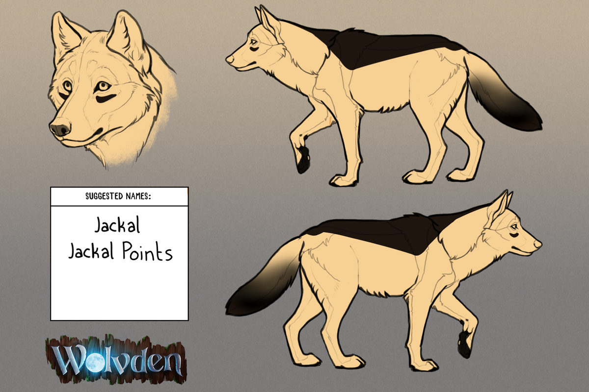 Marking: Jackal (1/2) |:| Wolvden