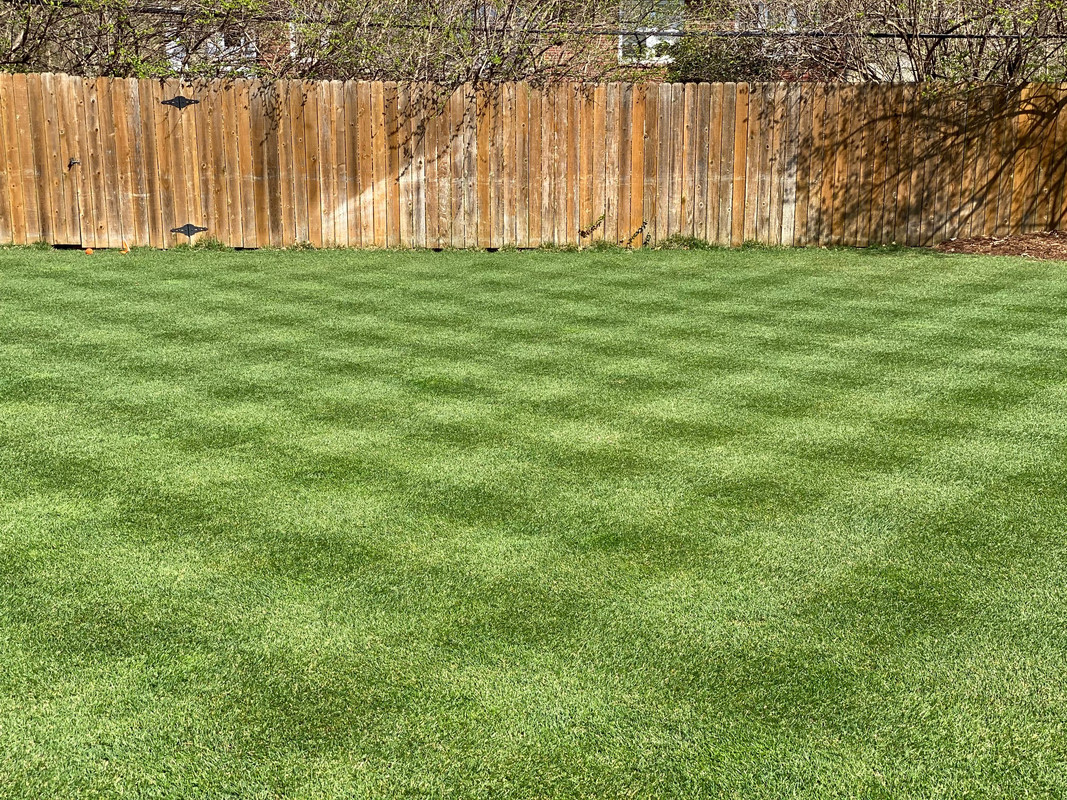 IMG 2012 — Postimages