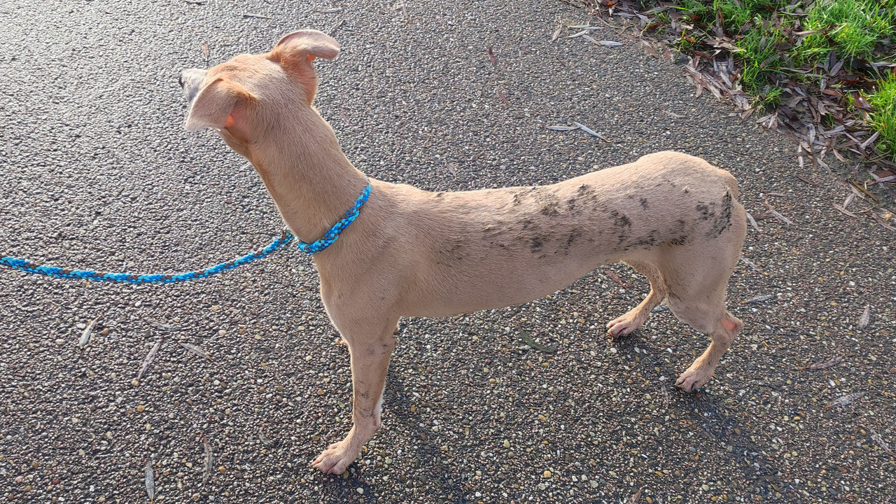 IMG 20221226 111440 — Postimages