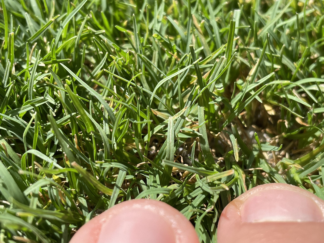 87031 DAF 0 AF6 4 A54 A8 D4 BD8 E3 B726615 — Postimages