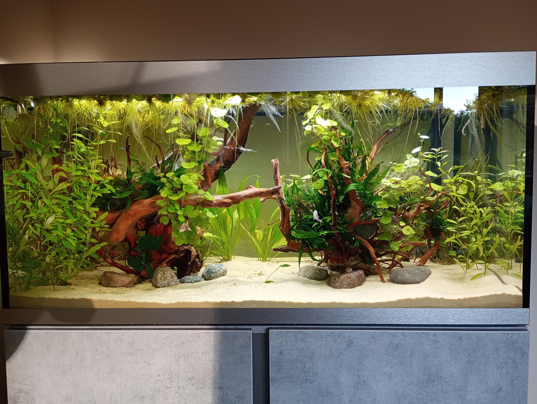 IMG 20240623 202845 — Postimages