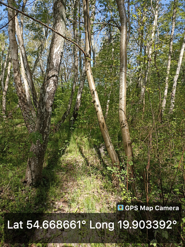 20230510 95807 AM By GPSMap Camera — Postimages