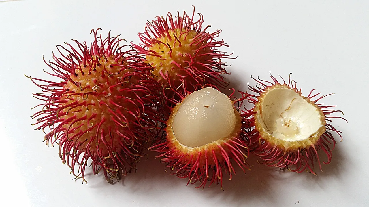 ¿Qué es el rambután una de las frutas más exóticas? Estos son sus ...