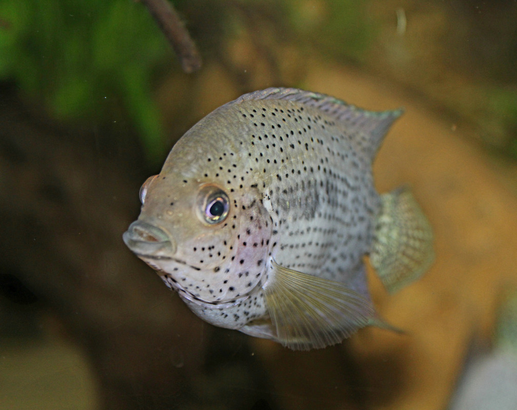 20220905101416 IMG 2948 — Postimages