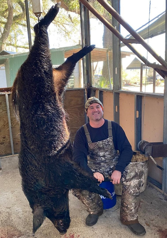 thumbnail 7 — Postimages