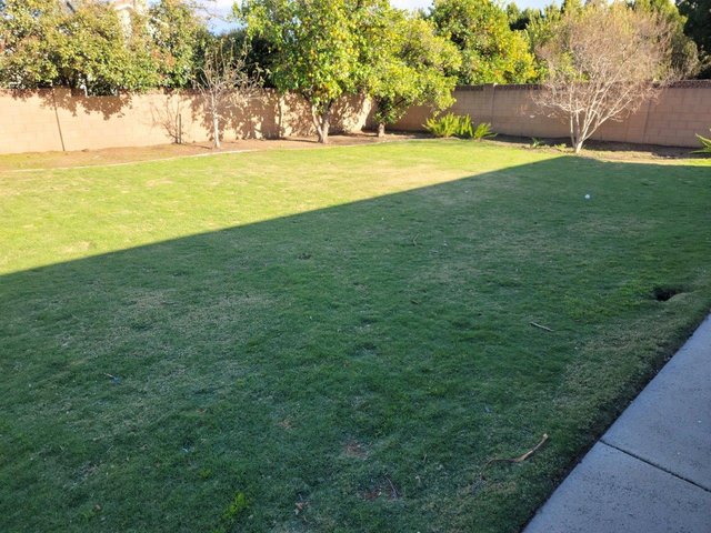 Lawn Looking Really Sad. | Lawn Care Forum