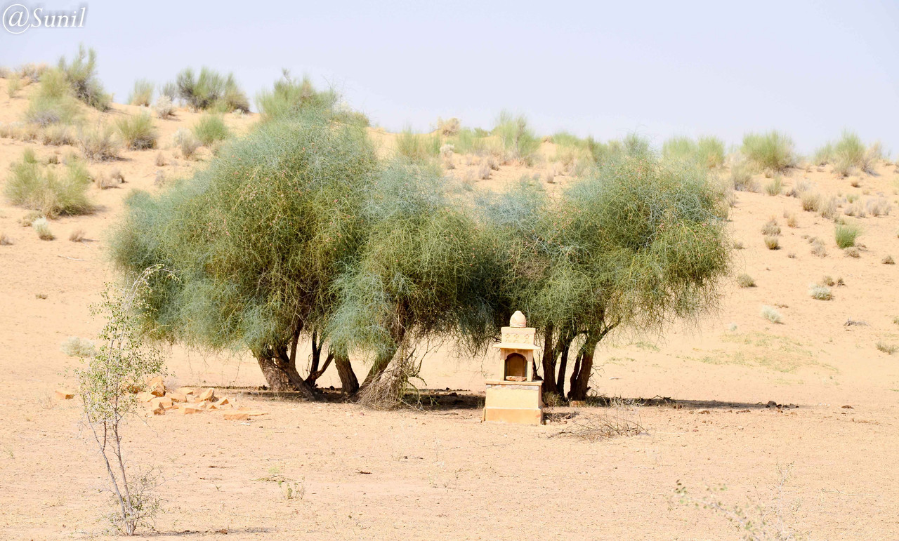 Drive to Munabao, the last Indian Railway Station on the rail link to ...