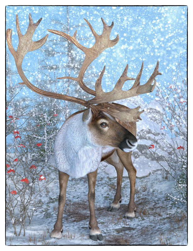 Ho! Ho! Ho-liday Contest! Week 3 Entries - Free Daz 3D Models