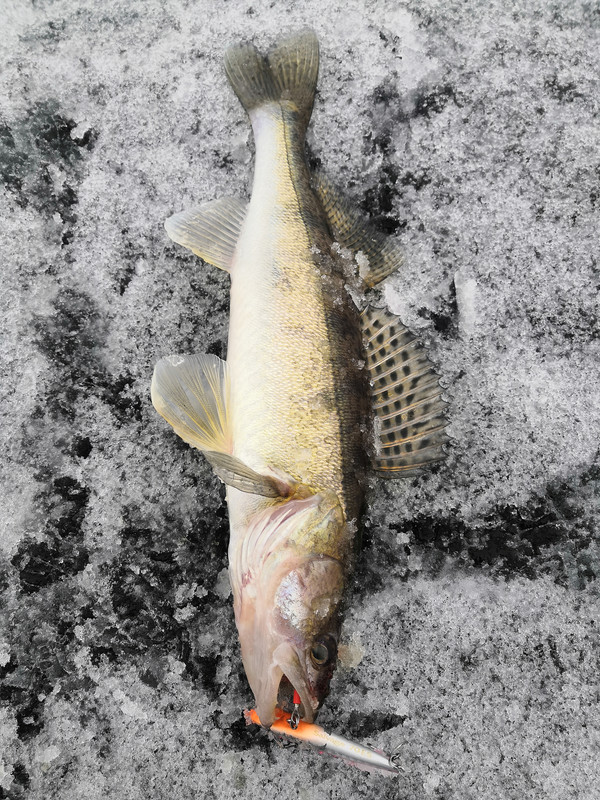 IMG 20210410 101648 — Postimages