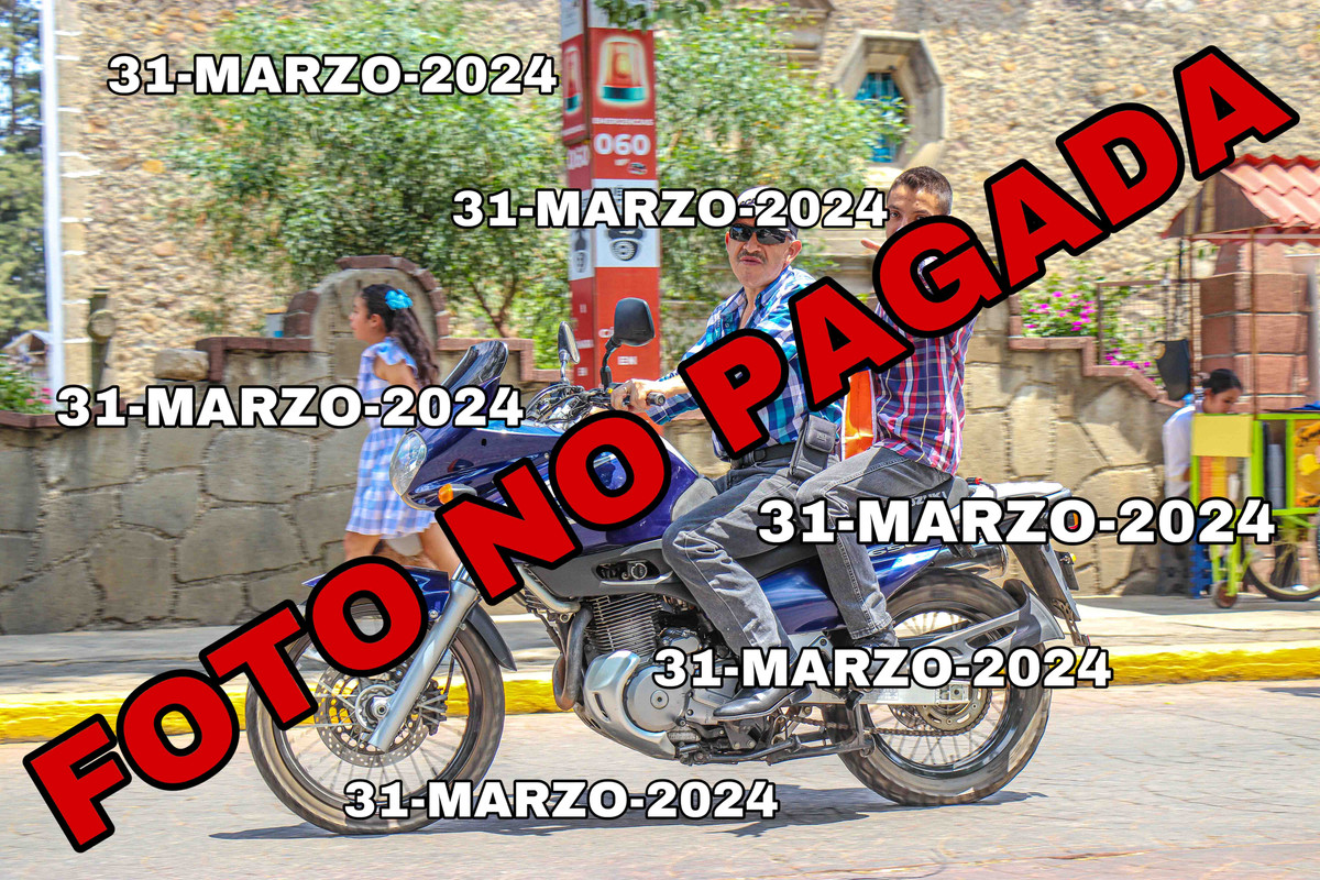 CV 1251 — Postimages