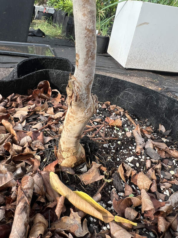 IMG 1648 — Postimages