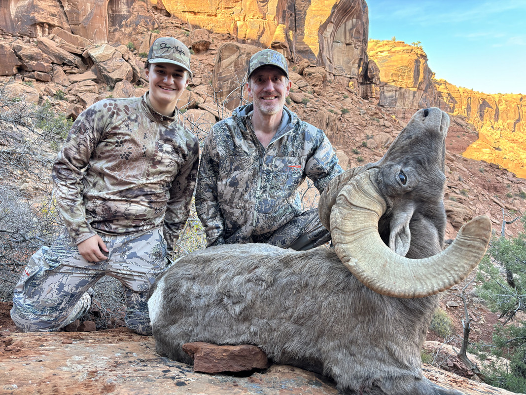 Successful Colorado Sheep Hunt | Long Range Hunting Forum