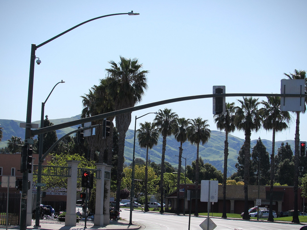 IMG 0595 — Postimages