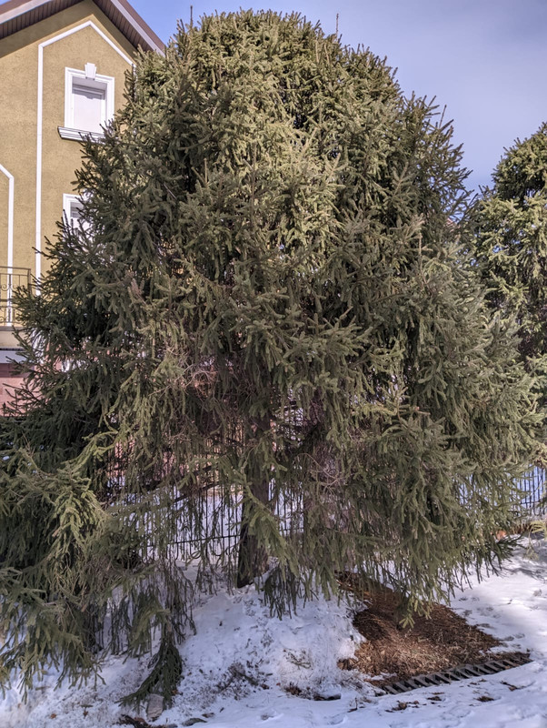 46011674 00fb 4d03 a242 85f610d35b2e — Postimages