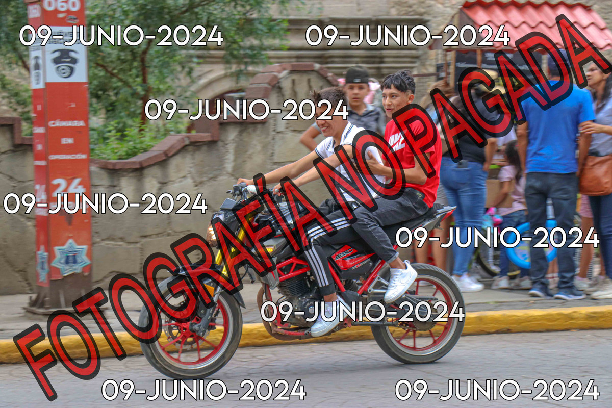 CV 1311 — Postimages