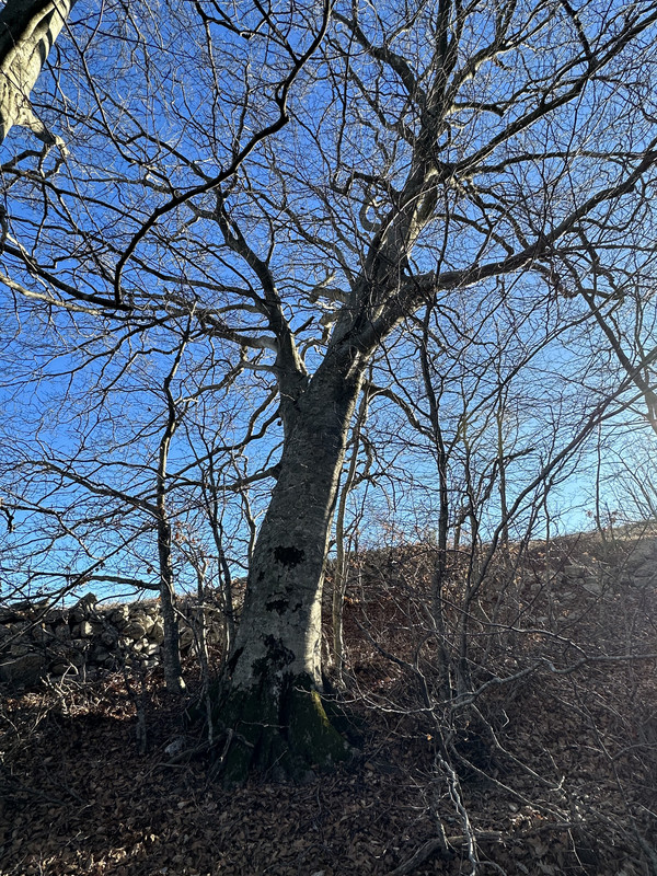 IMG 0346 — Postimages