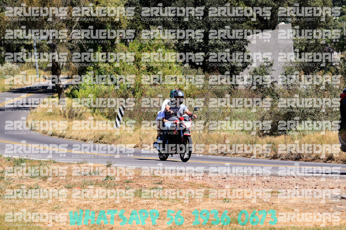 MG 1019 — Postimages