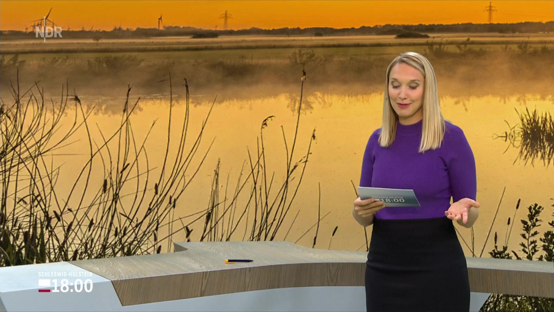 Alexandra Bauer NDR Schleswig Holstein18 Uhr 26052025 00104 — Postimages