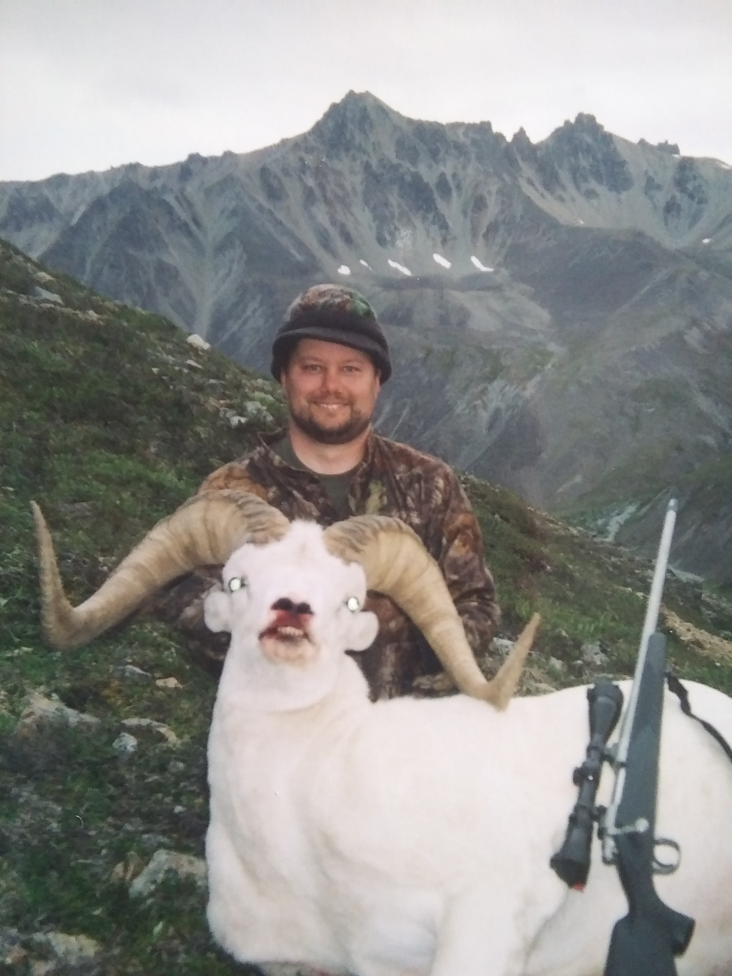 sheep clearest — Postimages