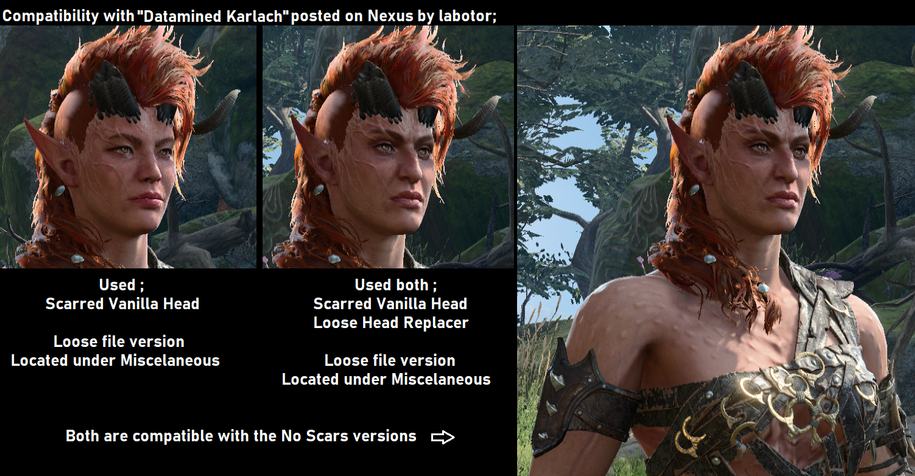 Valkyrie Karlach 1.4 — Baldur's Gate 3 - RPGHQ