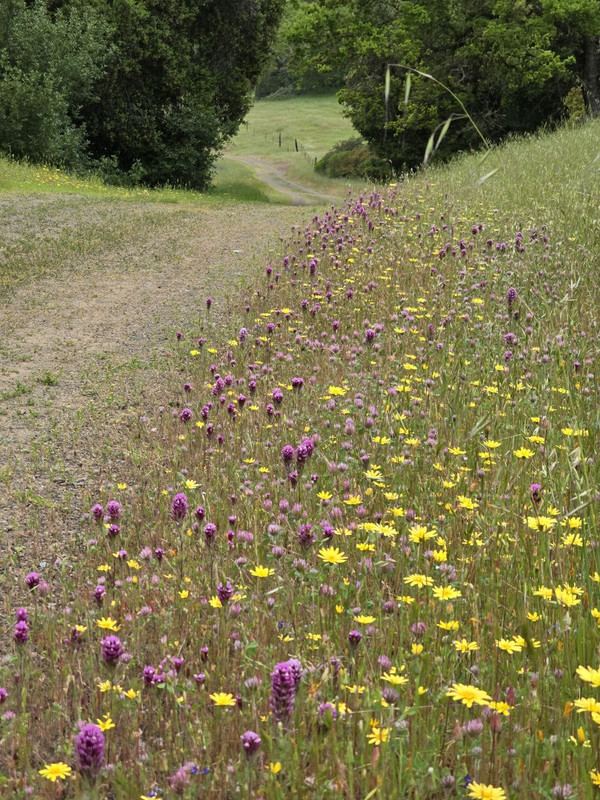 RunningAHEAD - Topic: Pretty pics from your run (page 26)