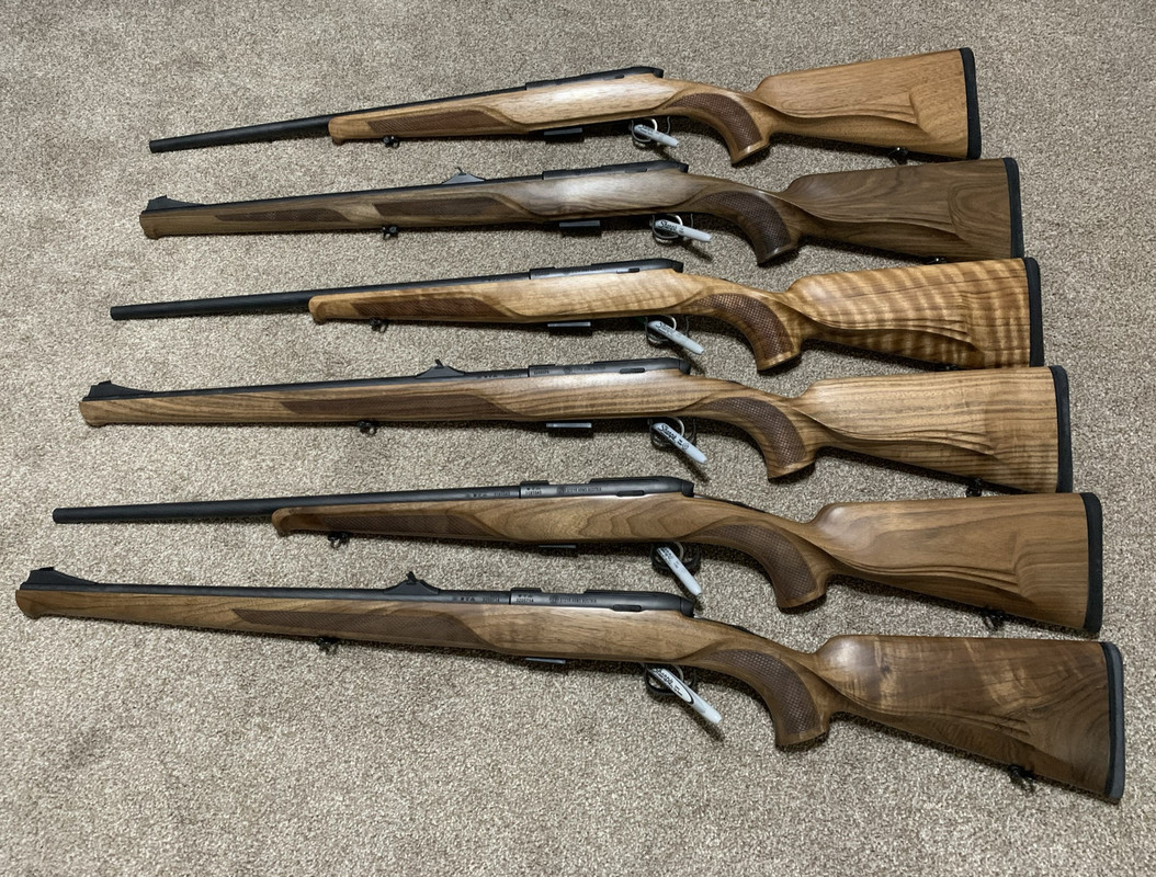 Steyr Zephyr II .17HMR Full Stock Variation | Rimfire Central Firearm Forum