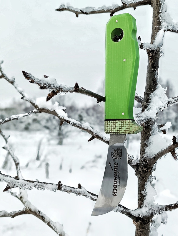 IMG 20240109 120612 466 — Postimages