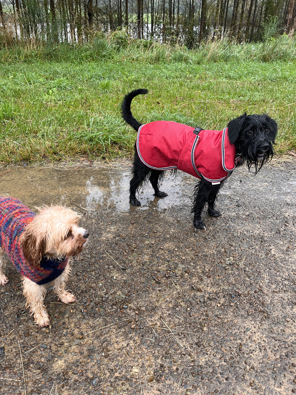 IMG 1941 — Postimages