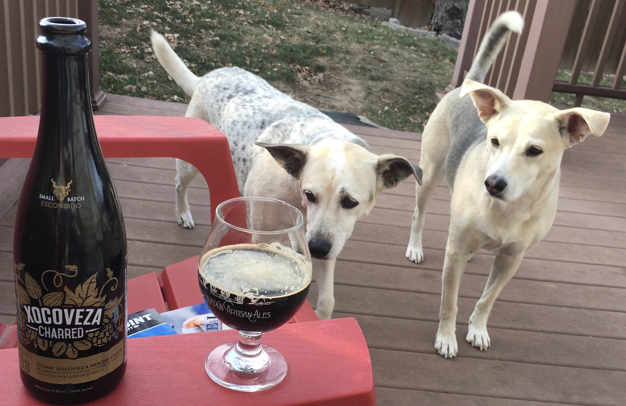 IMG 3637 — Postimages