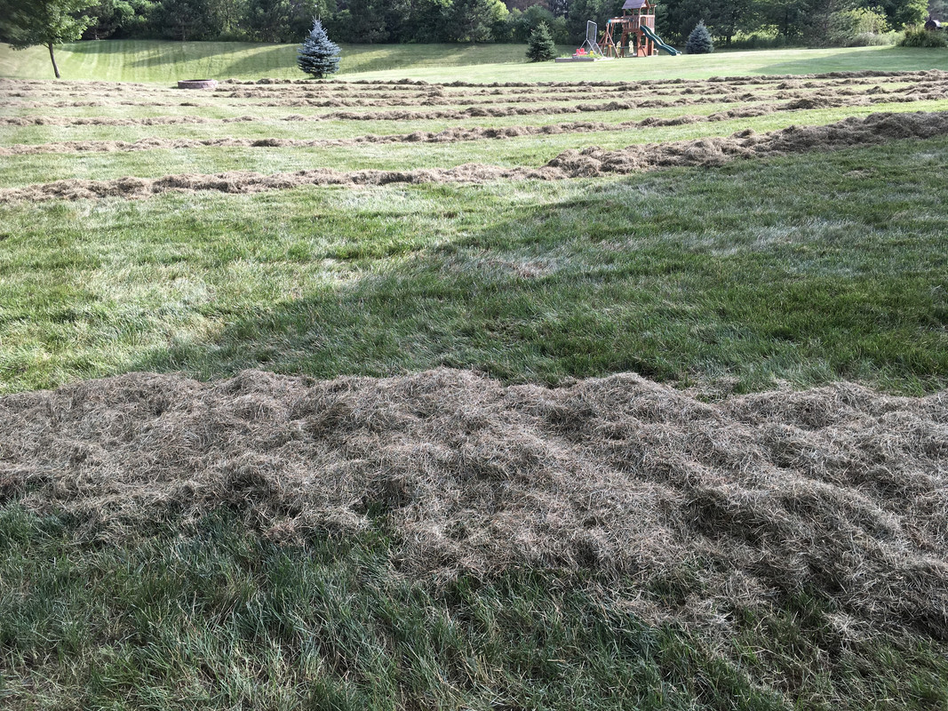 A46 FF0 EF DB06 45 FE A46 D B931969 A2 F75 — Postimages