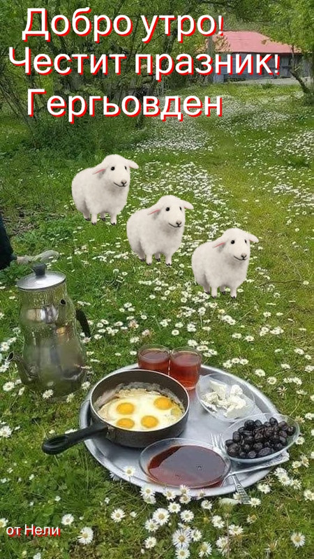 345293301 232224959455478 7331065827192801919 N Postimages