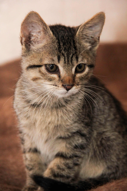 IMG 5059 — Postimages