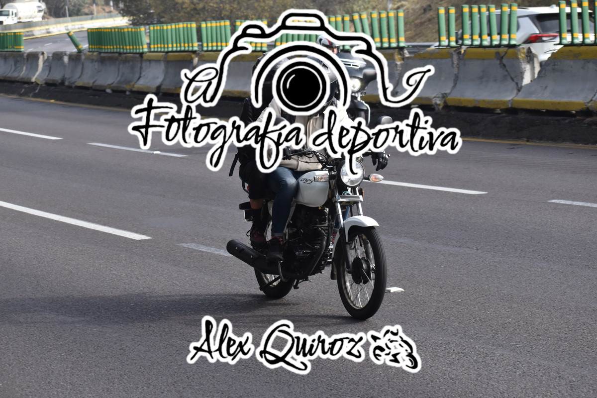 AVQ 8584 — Postimages