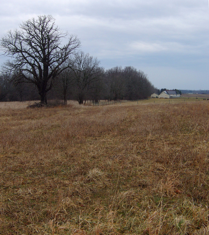 RunningAHEAD - Topic: Further and Faster in February '23!