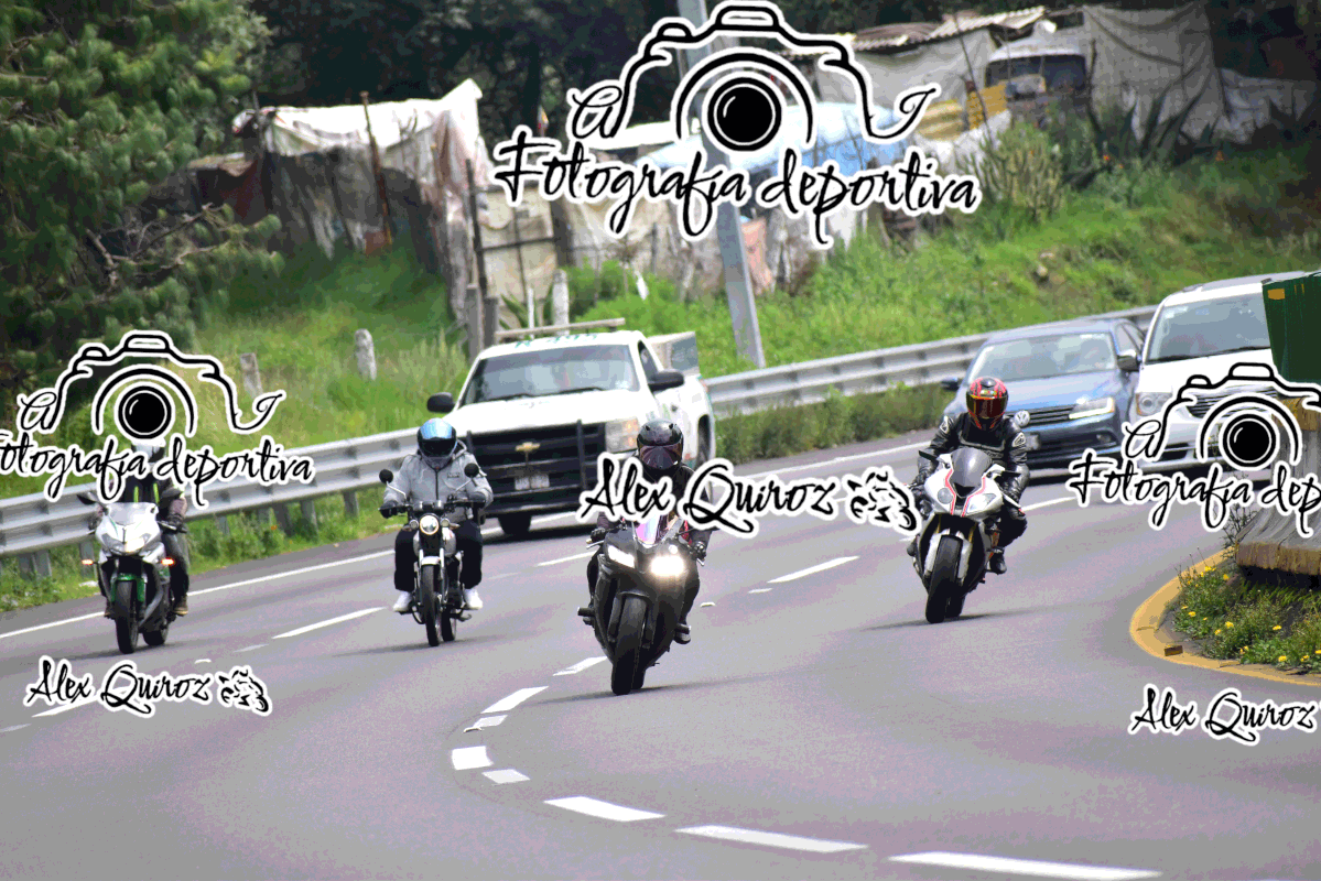 AVQ 5779 — Postimages