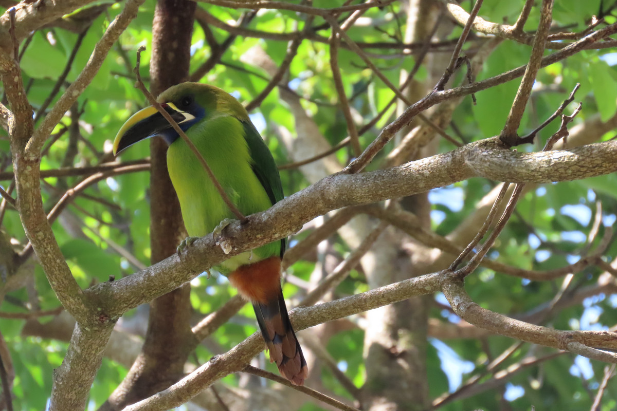 20230316215251 IMG 1771 — Postimages