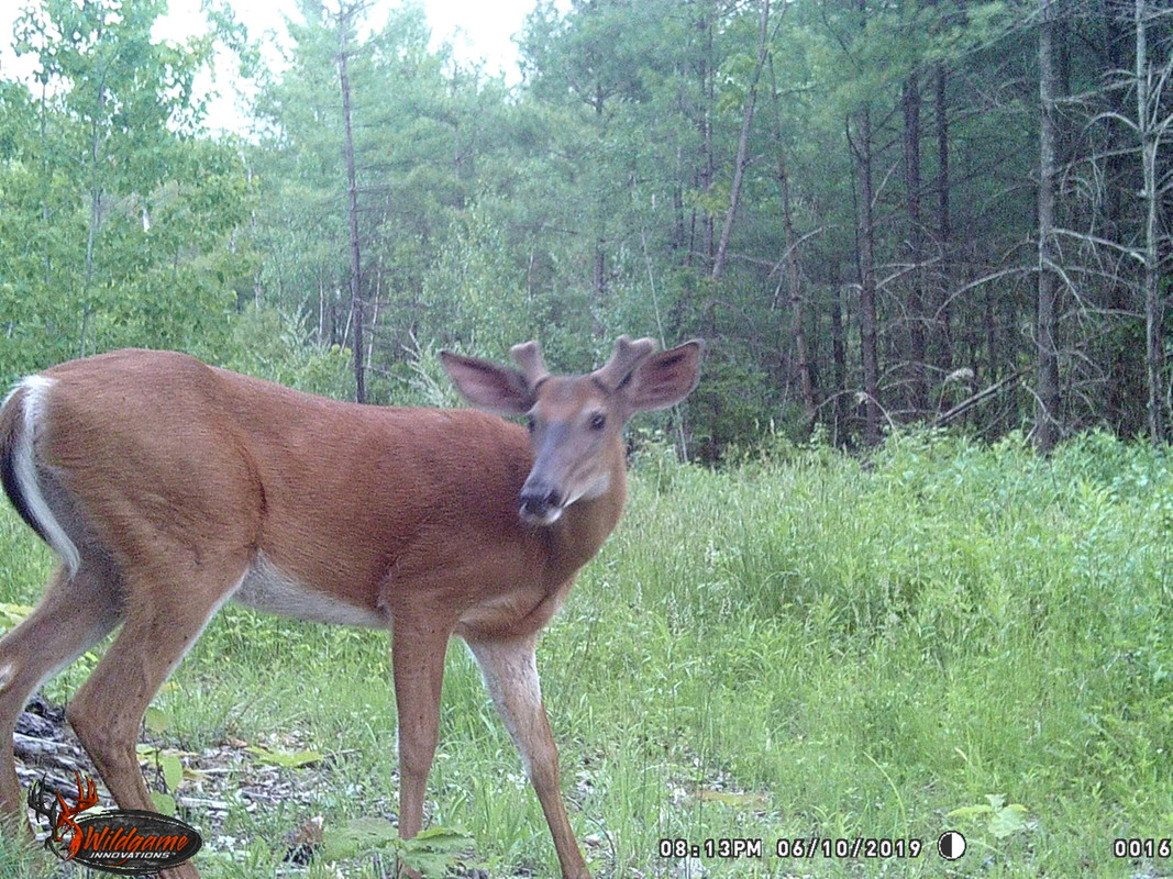 WGI 0016 — Postimages