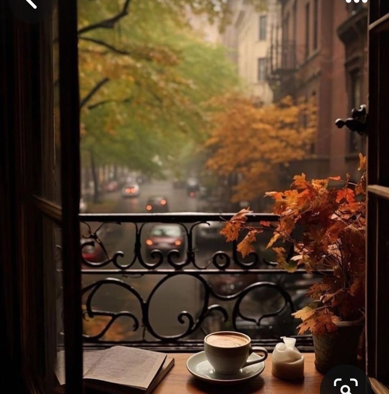 Screenshot 20231126 215235 Pinterest — Postimages