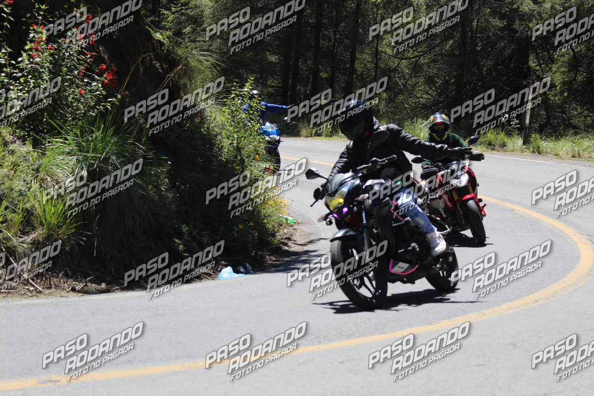 IMG 6858 wm 154682 watermarked — Postimages