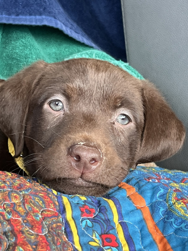 IMG 1004 — Postimages