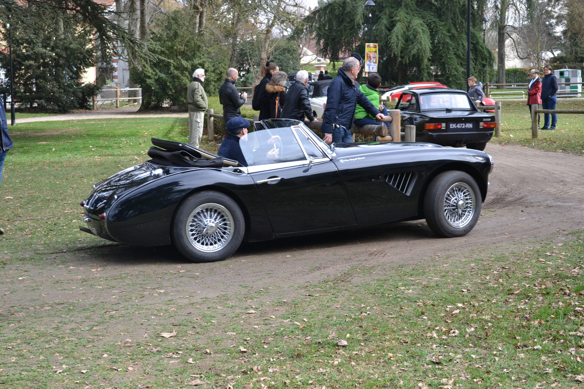 DSC 0062 — Postimages