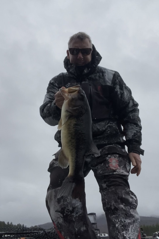 IMG 6227 — Postimages