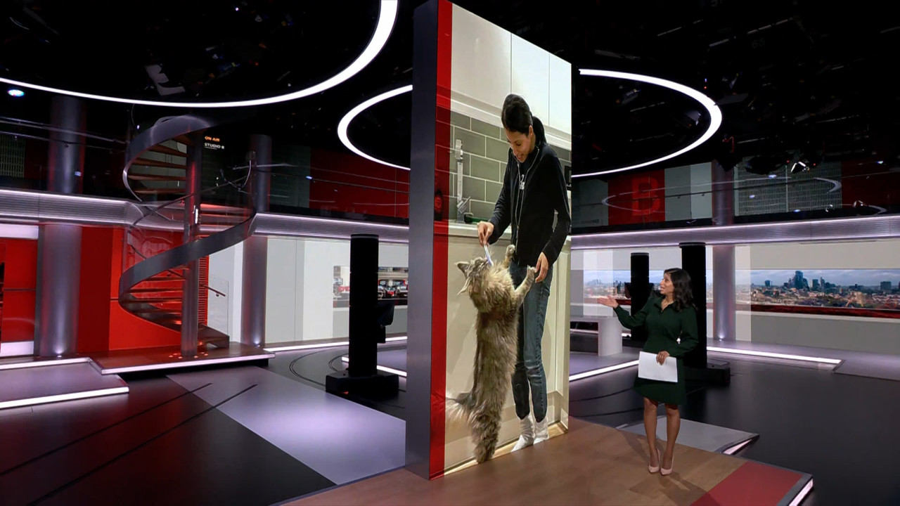 BBC London News 20230808 18301900 ts snapshot 24 20 083 — Postimages