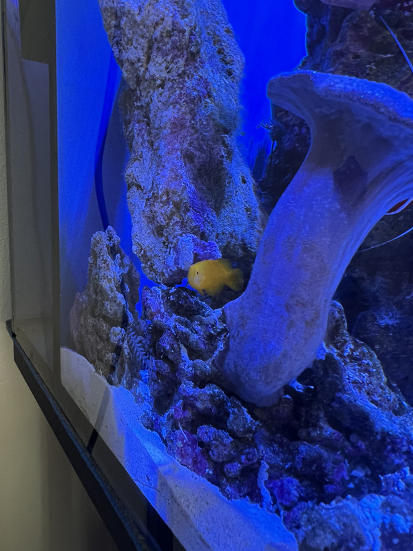 IMG 0453 — Postimages