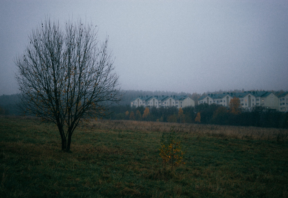 0082 2020 10 12 IMG 0803 — Postimages