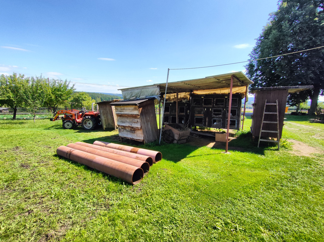 IMG20230811131206 — Postimages